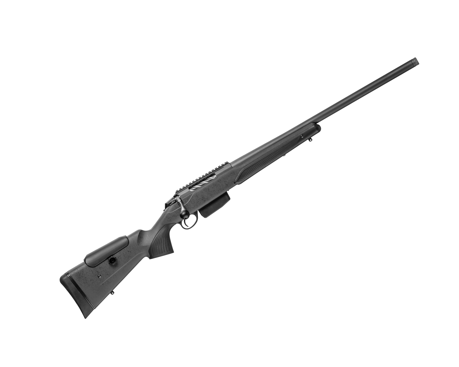 Small predators hunting: tips and best practices